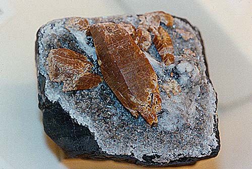 The Risky Business of Specimen Recovery - Rock & Gem Magazine