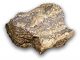 Molybdenum, Wulfenite & Molybdenite - Rock & Gem Magazine