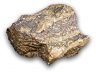 Molybdenum, Wulfenite & Molybdenite - Rock & Gem Magazine