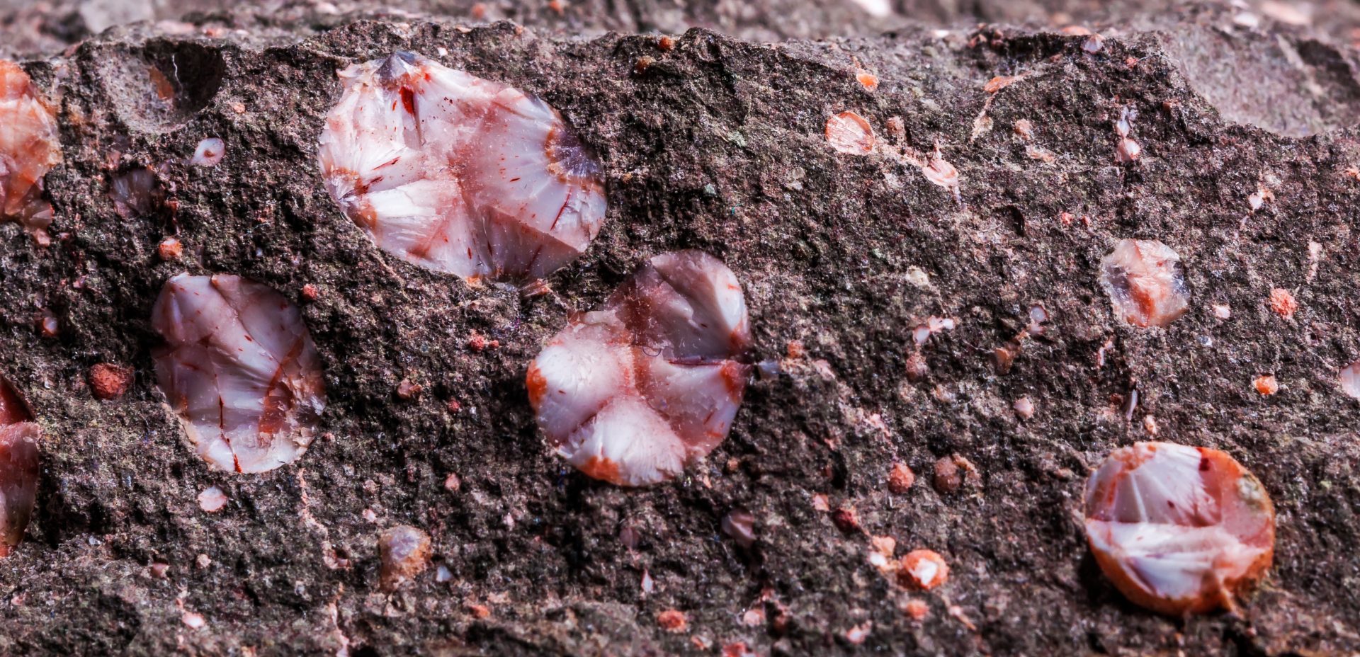 Minnesota Thomsonite: Rare & Radiant - Rock & Gem Magazine