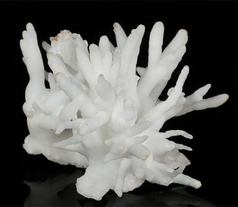 Aragonite: A cave dwelling and coral-shaped mineral