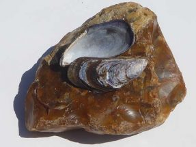 Weird Words: Conchoidal - Rock & Gem Magazine