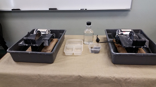 Sharing a Passion for Rockhounding (Part 1) - Rock & Gem Magazine