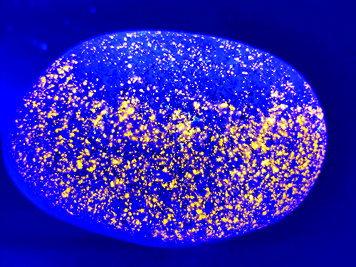 Yooperlites: What & Where to Find Them - Rock & Gem Magazine