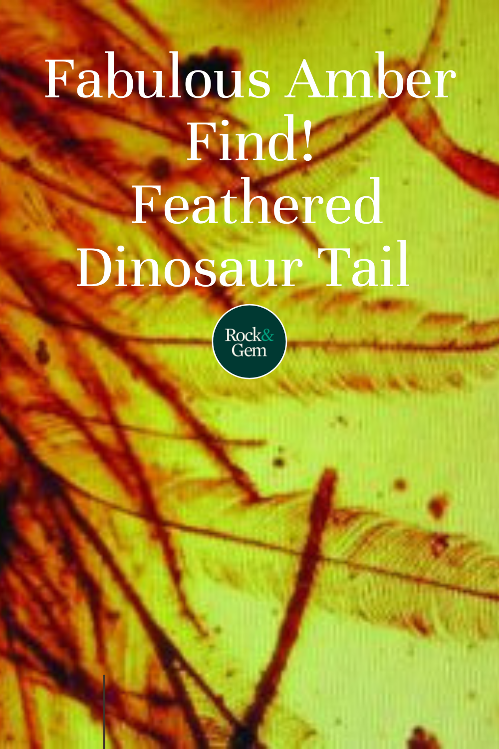 Amber, Dinosaurs & Feathers - Rock & Gem Magazine