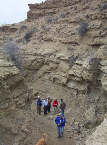 Earth Science In the News: Fossil Friday - Rock & Gem Magazine