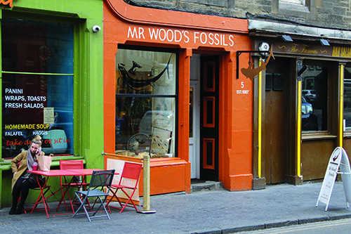 Rock Shops of Distinction: Mr. Wood’s Fossils