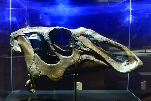 The Road Report: New Mexico — The Tyrannosaur State