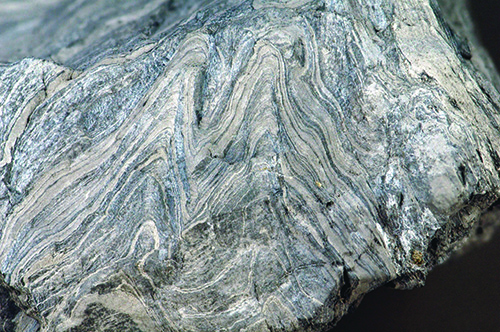 Nevada’s Carlin Trend - Rock & Gem Magazine