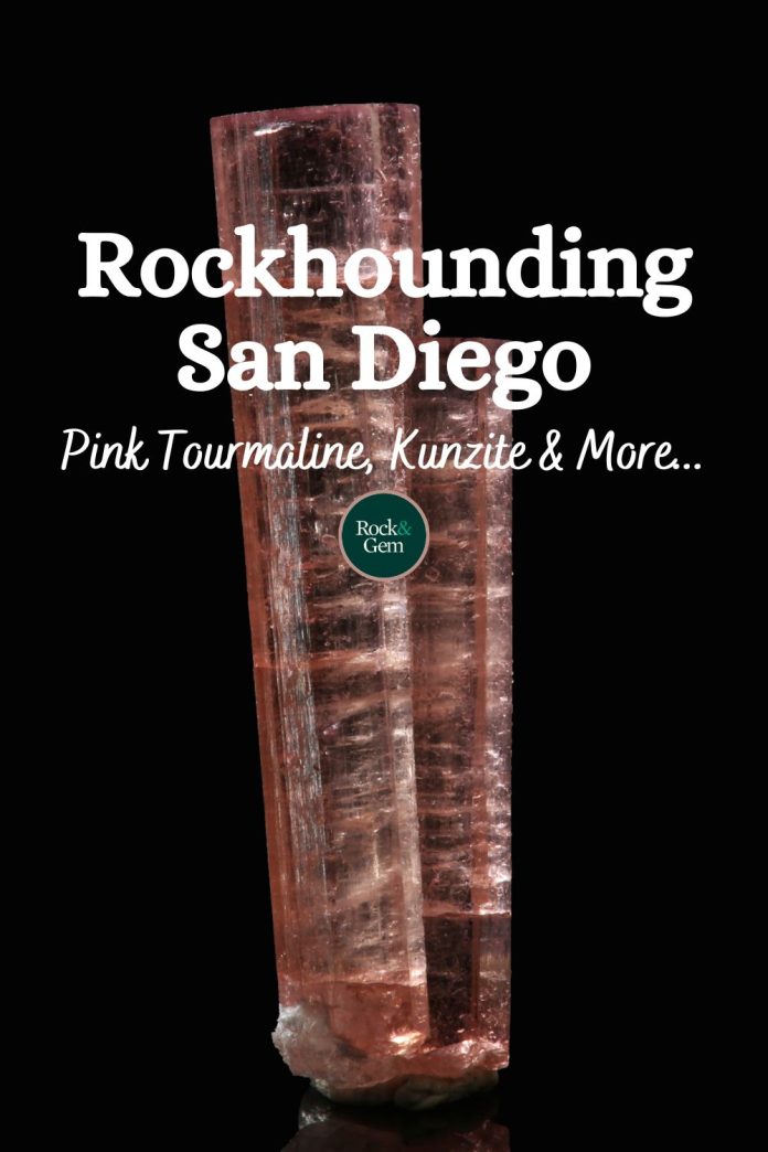 Pink Tourmaline & Fossils in San Diego - Rock & Gem Magazine