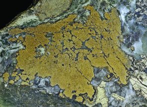 The Nickel Behind the Nickel - Rock & Gem Magazine