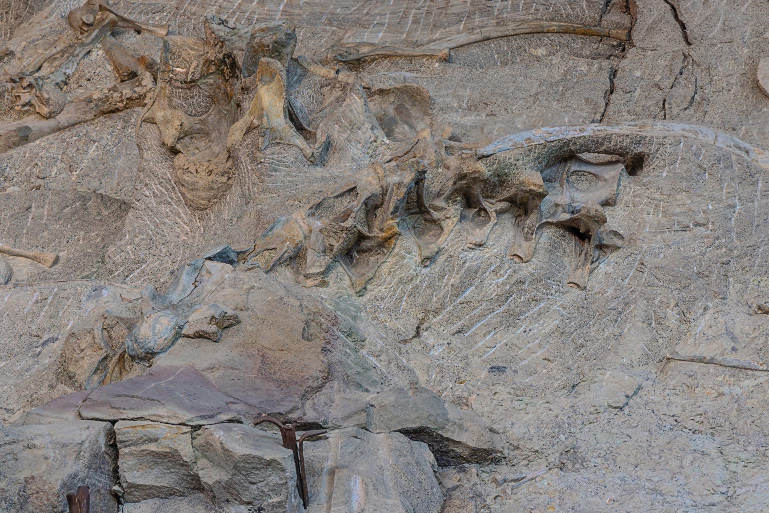 Best National Parks for Paleontology & Fossils
