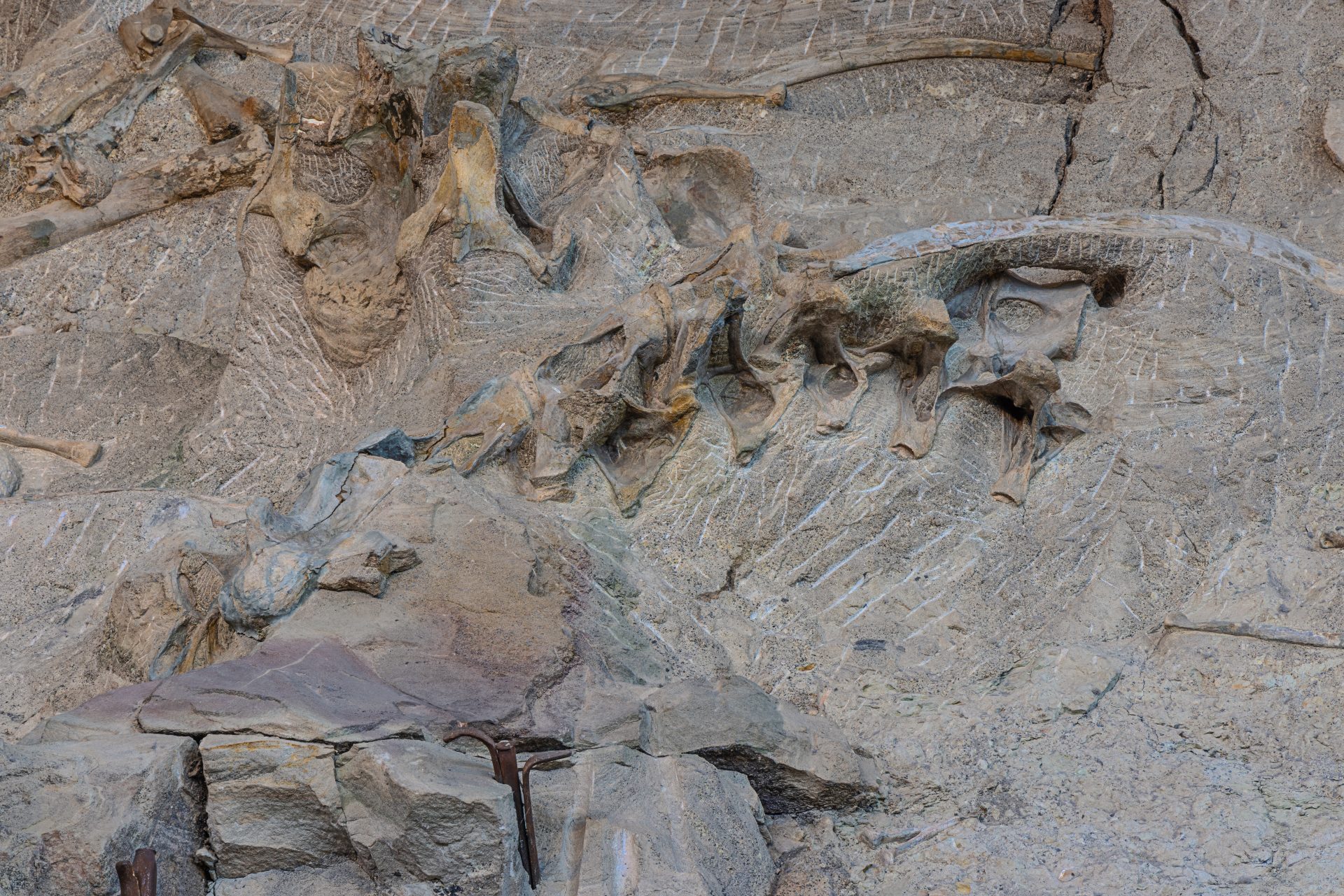Best National Parks for Paleontology & Fossils