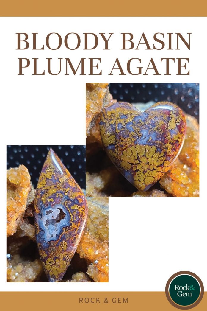Bloody Basin Plume Agate | Rock & Gem Magazine