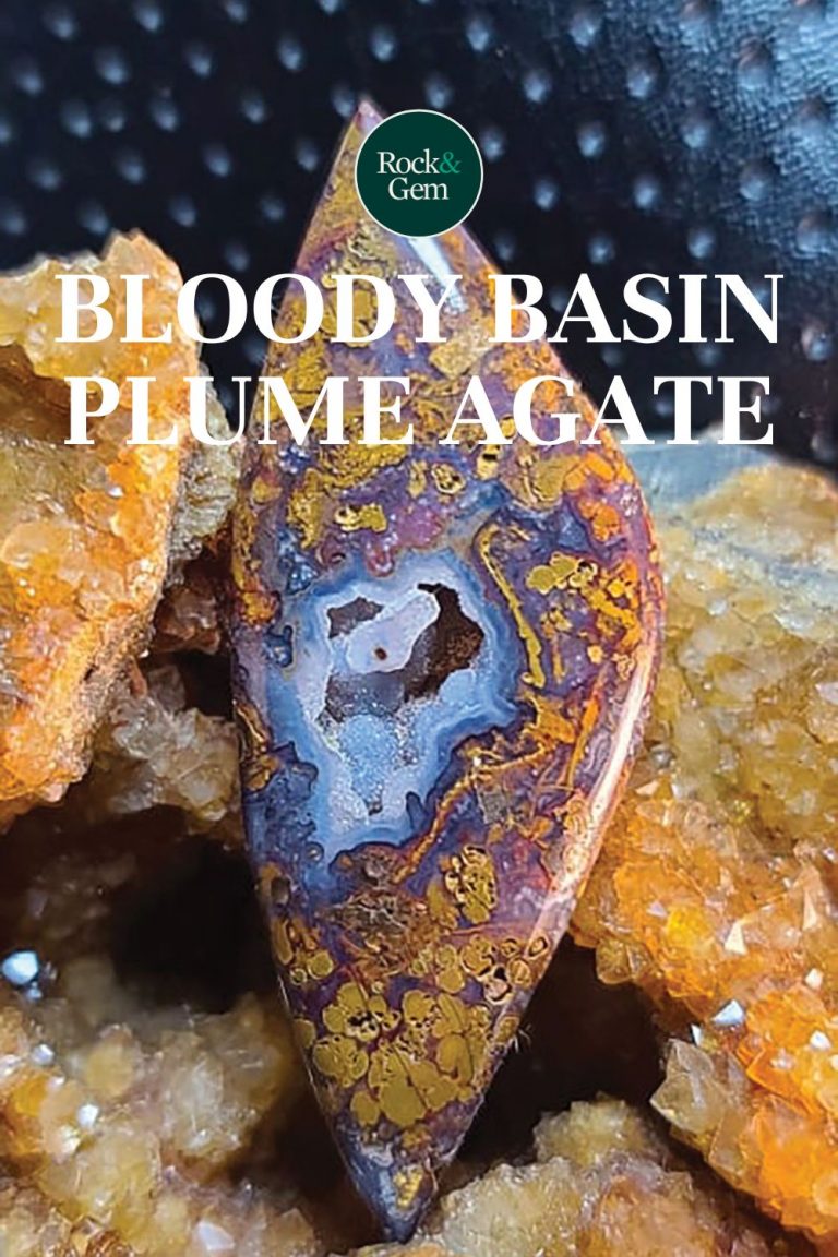 Bloody Basin Plume Agate - Rock & Gem Magazine