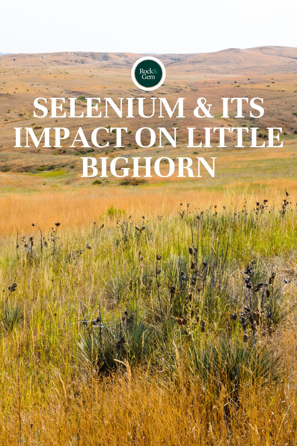 Selenium & Its Impact on Little Bighorn - Rock & Gem Magazine Selenium & Its Impact on Little Bighorn - Rock & Gem Magazine