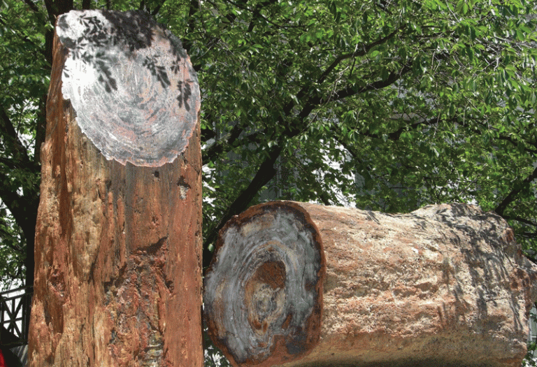 Make Your Own Jurassic Forest - Rock & Gem Magazine