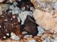 Geodes 101: Plus Where They’re Found - Rock & Gem Magazine