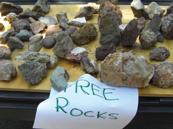 What to Do With a Rock Collection That’s Too Big