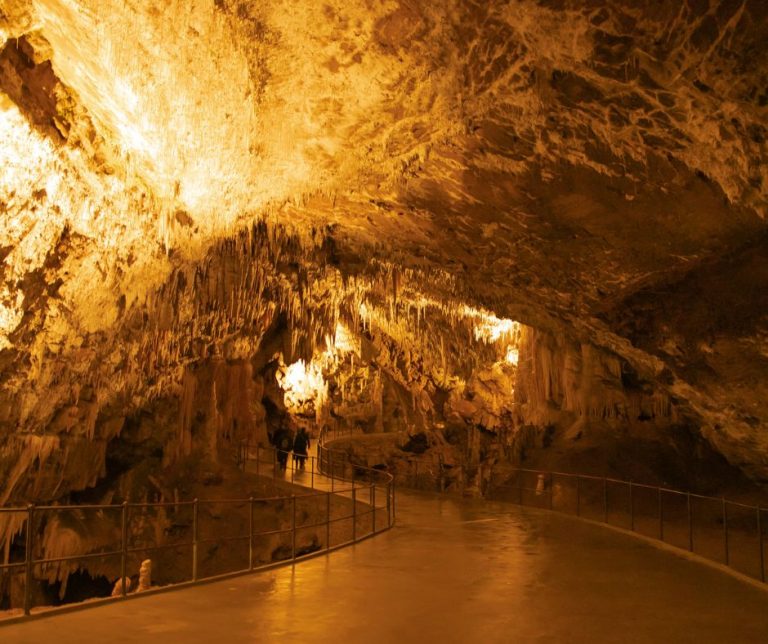 2025 Rockhound Holidays - Rock & Gem Magazine