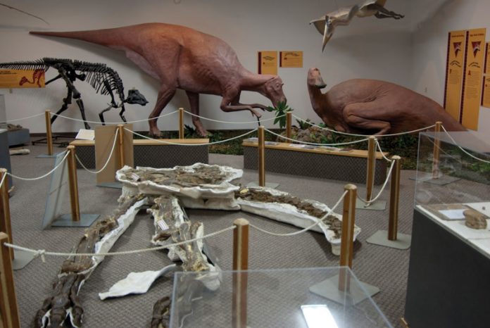Exploring the Montana Dinosaur Trail - Rock & Gem Magazine