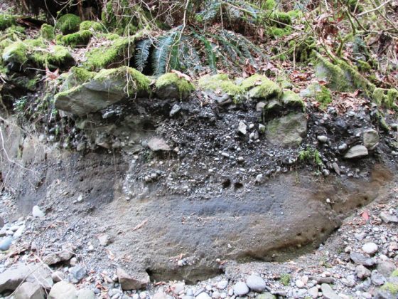 How to Find Evidence of an Ice Age - Rock & Gem Magazine