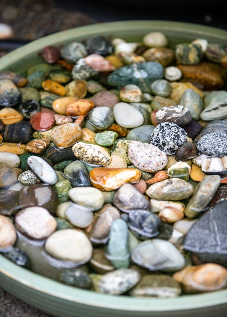 How to Make a Pollinator Garden with Rocks - Rock & Gem Magazine