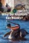 Why Do Animals Eat Rocks? - Rock & Gem Magazine