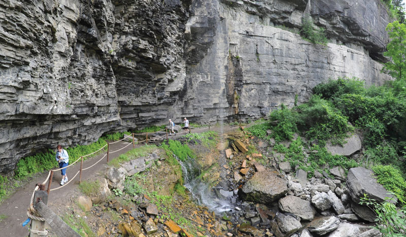 Helderberg Escarpment Fossils - Rock & Gem Magazine