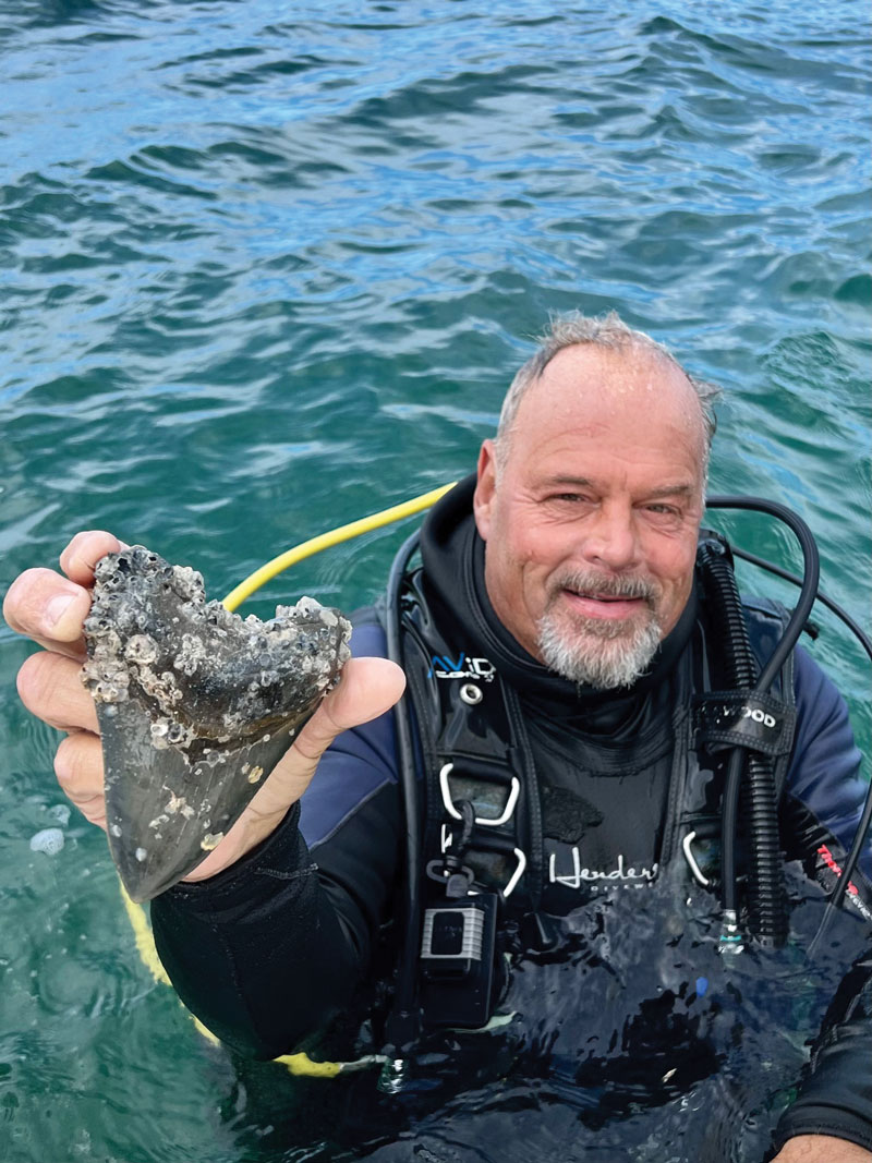 Diving for Shark Teeth - Rock & Gem Magazine