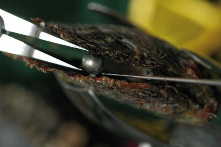 What are Pearls? An Unusual Gemstone - Rock & Gem Magazine