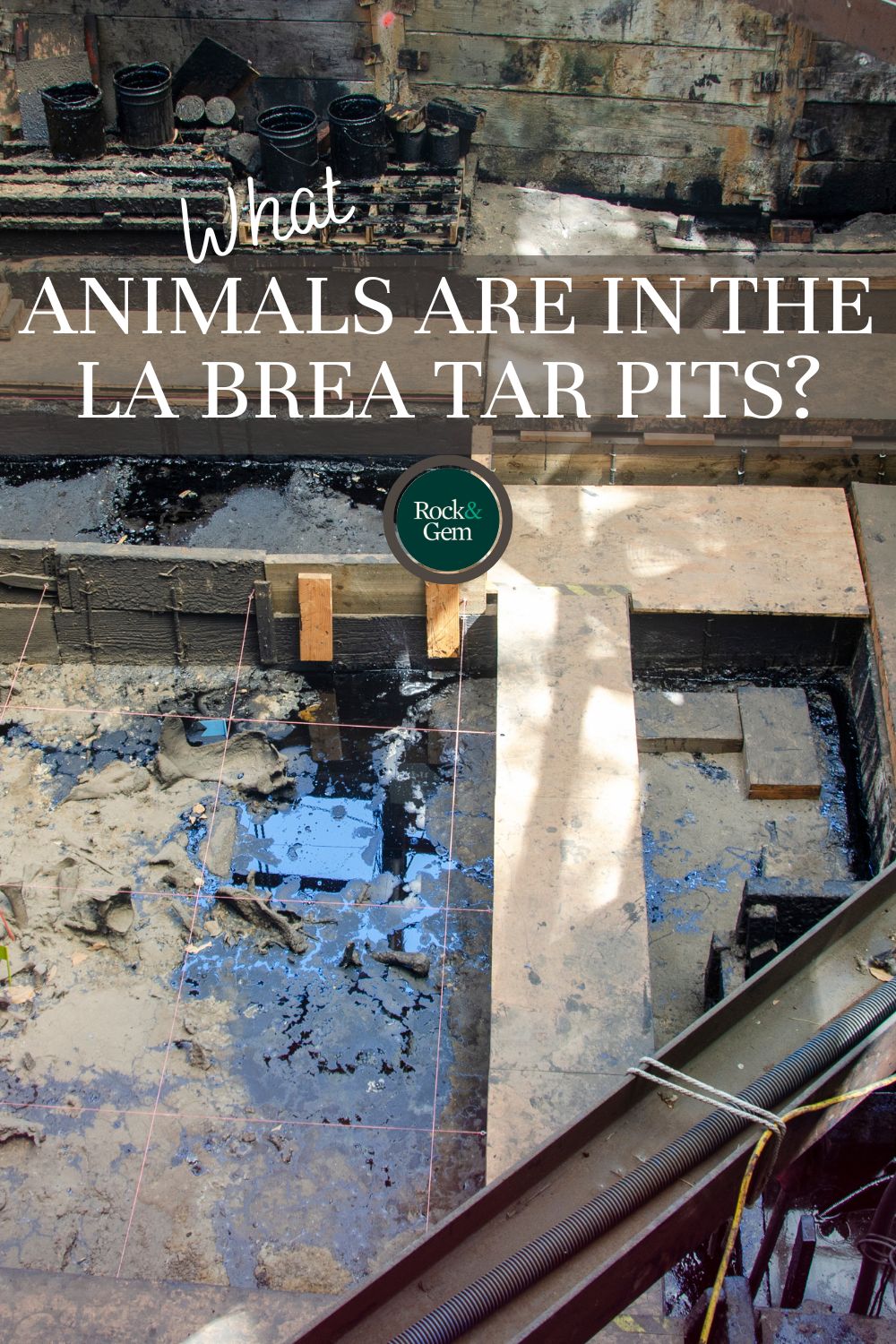 Exploring the La Brea Tar Pits - Rock & Gem Magazine