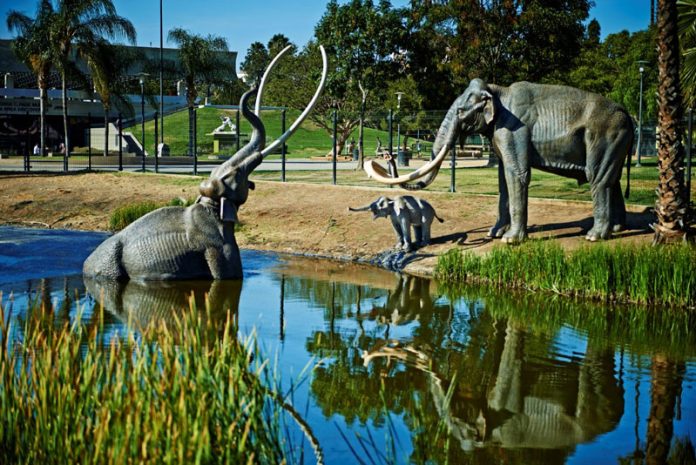 Exploring the La Brea Tar Pits - Rock & Gem Magazine