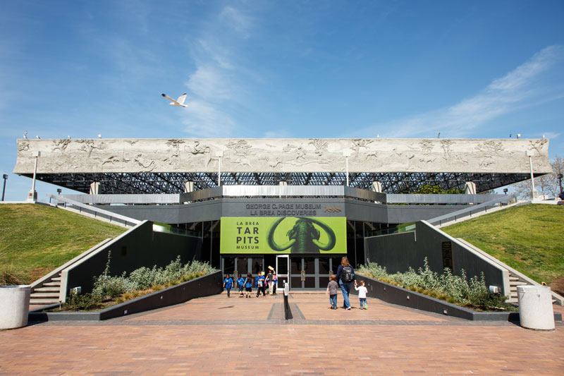 Exploring The La Brea Tar Pits Rock Gem Magazine