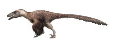 List of State Dinosaurs - Rock & Gem Magazine