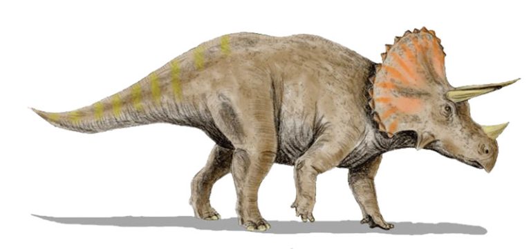 List of State Dinosaurs - Rock & Gem Magazine