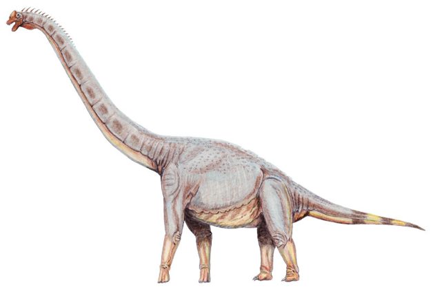 List of State Dinosaurs - Rock & Gem Magazine