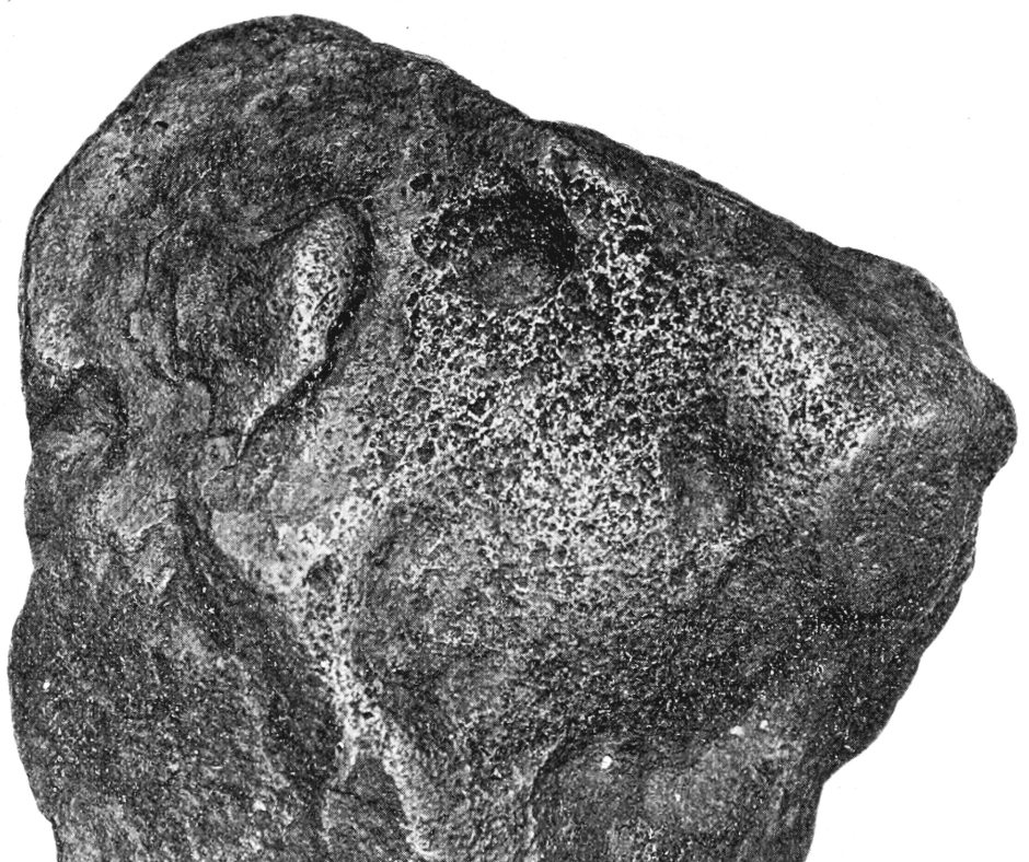 Black Diamonds Gain Respect - Rock & Gem Magazine