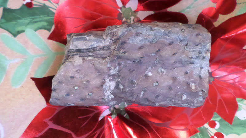 Gifts for Rock Collectors: Holiday Favorites - Rock & Gem Magazine