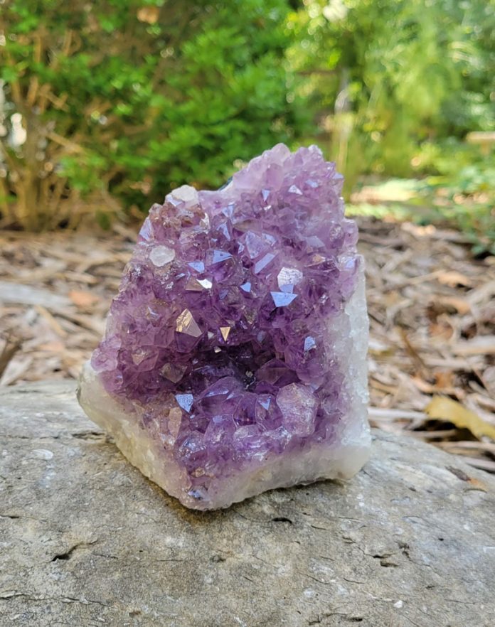 Gifts for Rock Collectors: Holiday Favorites - Rock & Gem Magazine