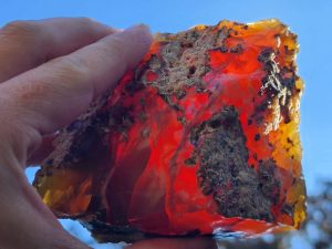 All About Fire Opal - Rock & Gem Magazine