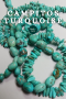 All About Campitos Turquoise - Rock & Gem Magazine