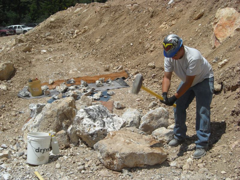 Rock Collecting: How to Read a Field Guide - Rock & Gem Magazine