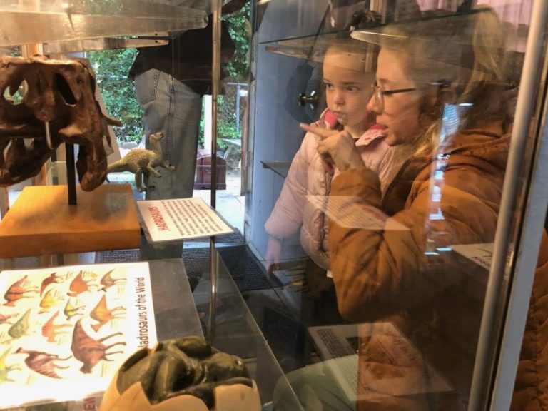 5 Reasons Kids Should Join a Rock Club - Rock & Gem Magazine