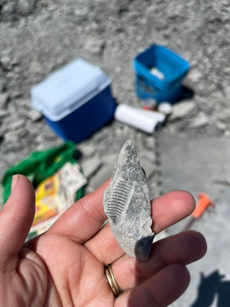 Penn Dixie Fossil Park & Nature Preserve - Rock & Gem Magazine