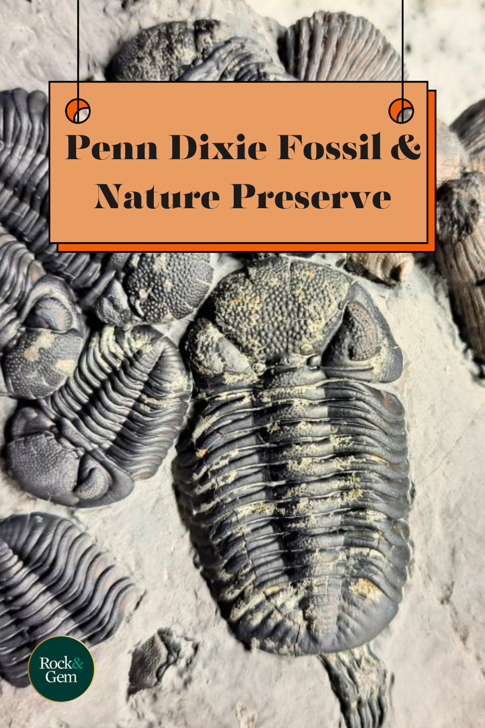 Penn Dixie Fossil Park & Nature Preserve - Rock & Gem Magazine