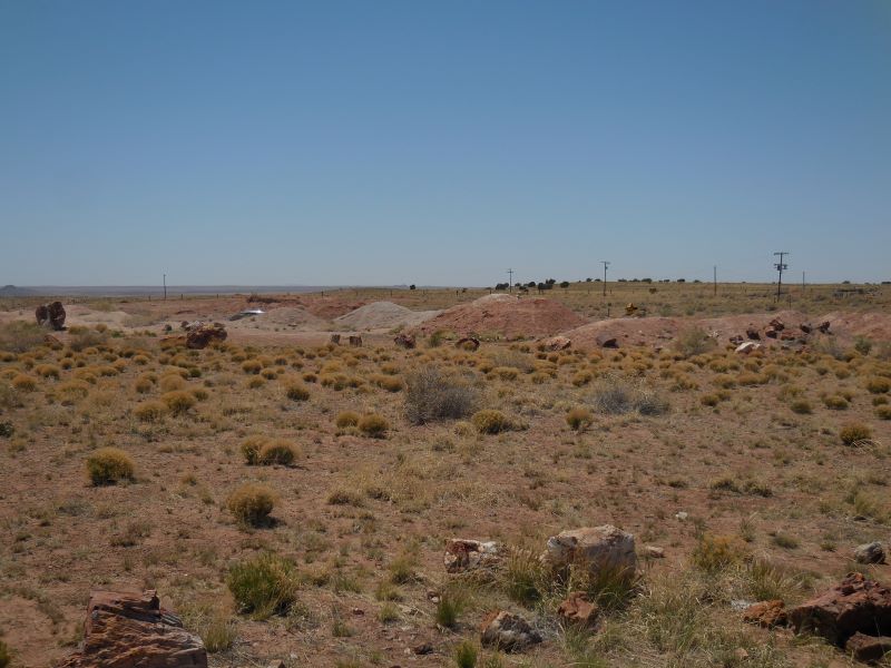 Petrified Wood: Collecting at the DoBell Ranch - Rock & Gem Magazine