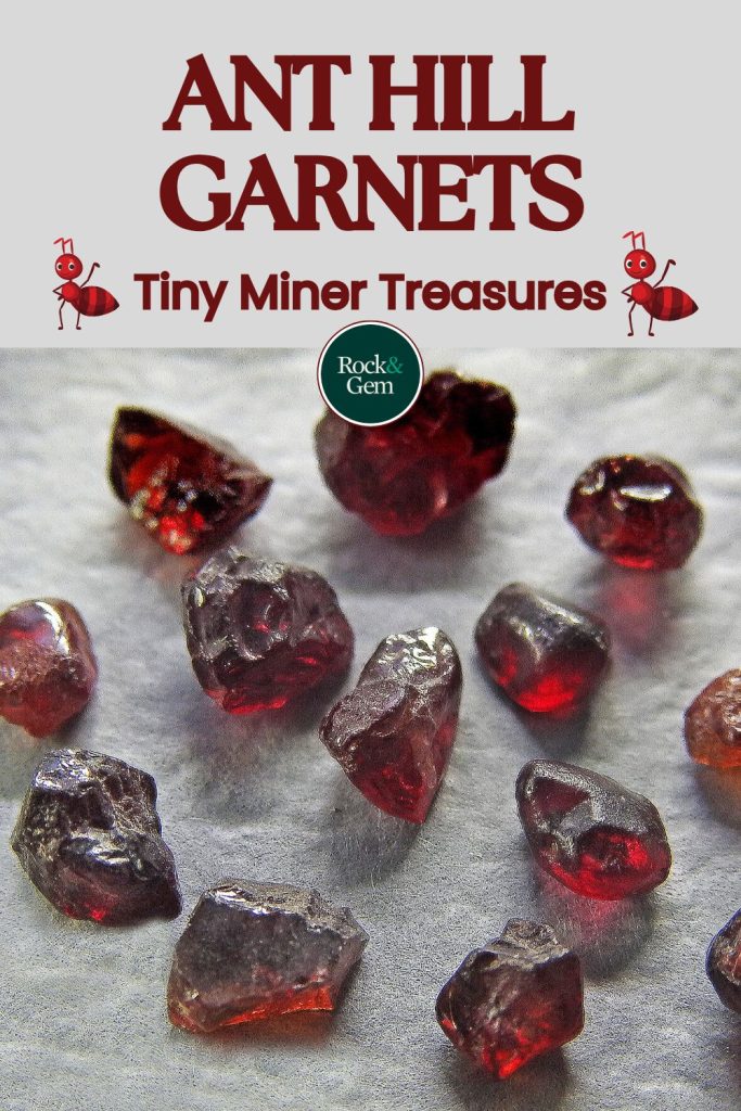 Ant Hill Garnets: Tiny Miner Treasures - Rock & Gem Magazine