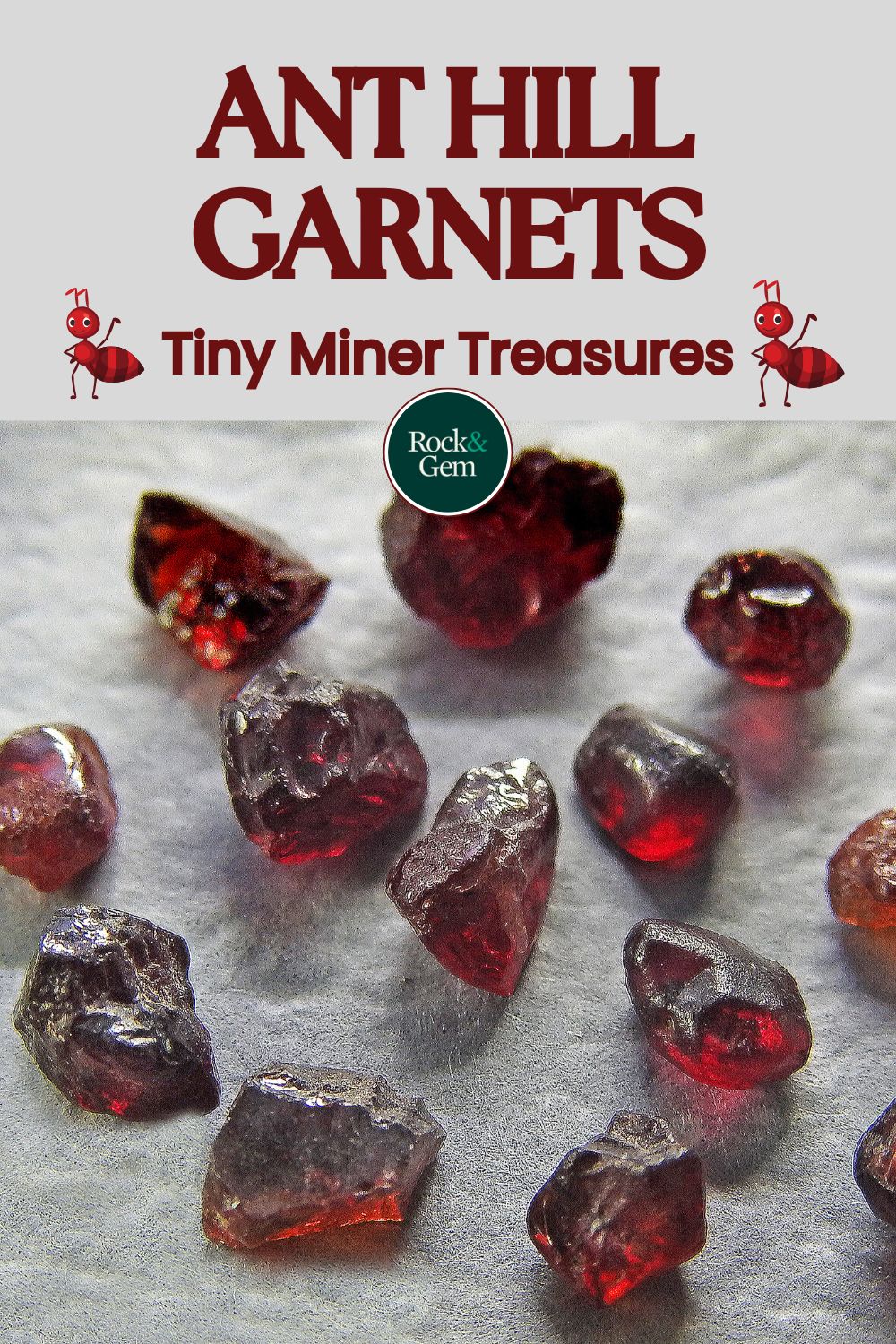 Ant Hill Garnets: Tiny Miner Treasures - Rock & Gem Magazine