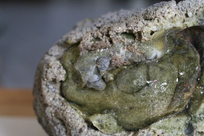 Fulgurite: What is Lightning Glass & How to Find It